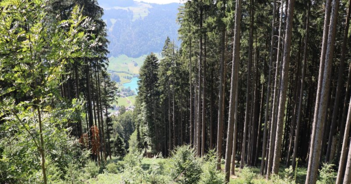 Swiss Climate - Climate Protection and Sustainable Management of Swiss ...